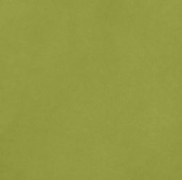 Papel Cardstock Liso American Crafts Smooth Leaf