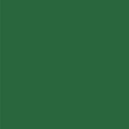 Papel Cardstock Liso American Crafts Smooth Pine