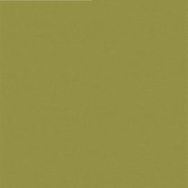 Papel Cardstock Liso American Crafts Peacock