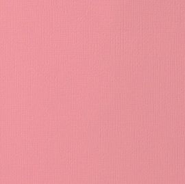 Papel Cardstock Liso American Crafts Peacock