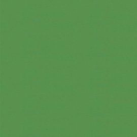 Papel Cardstock Liso American Crafts Peacock