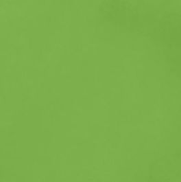 Papel Cardstock Liso American Crafts Smooth Grass